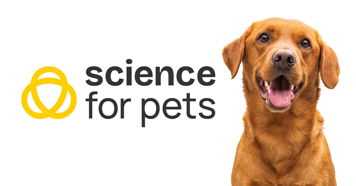 Vet Developed Supplements for Pets – Science for Pets
